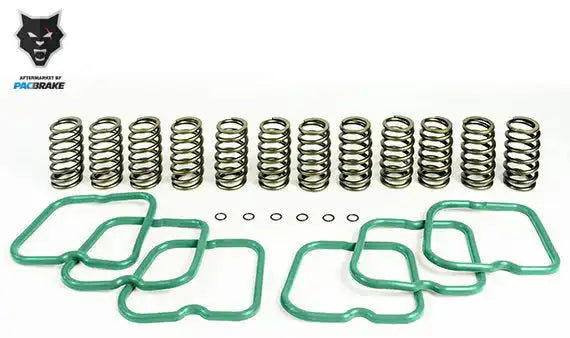Pacbrake Basic Spring Kit 12 Springs For 94-98 Ram 2500/3500 Cummins 1 ...